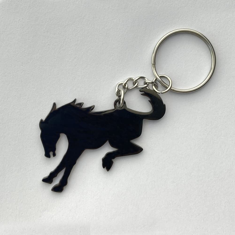 Snapklik.com : RCCT Bronco Sport Accessories Key Chain Fits Ford Big ...