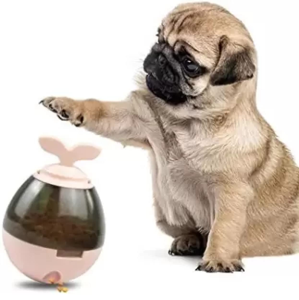 Buy Woofy Pet, Dogs & Cats Fun Bowl Toy Feeder Dog Feeding Pets Dog ...
