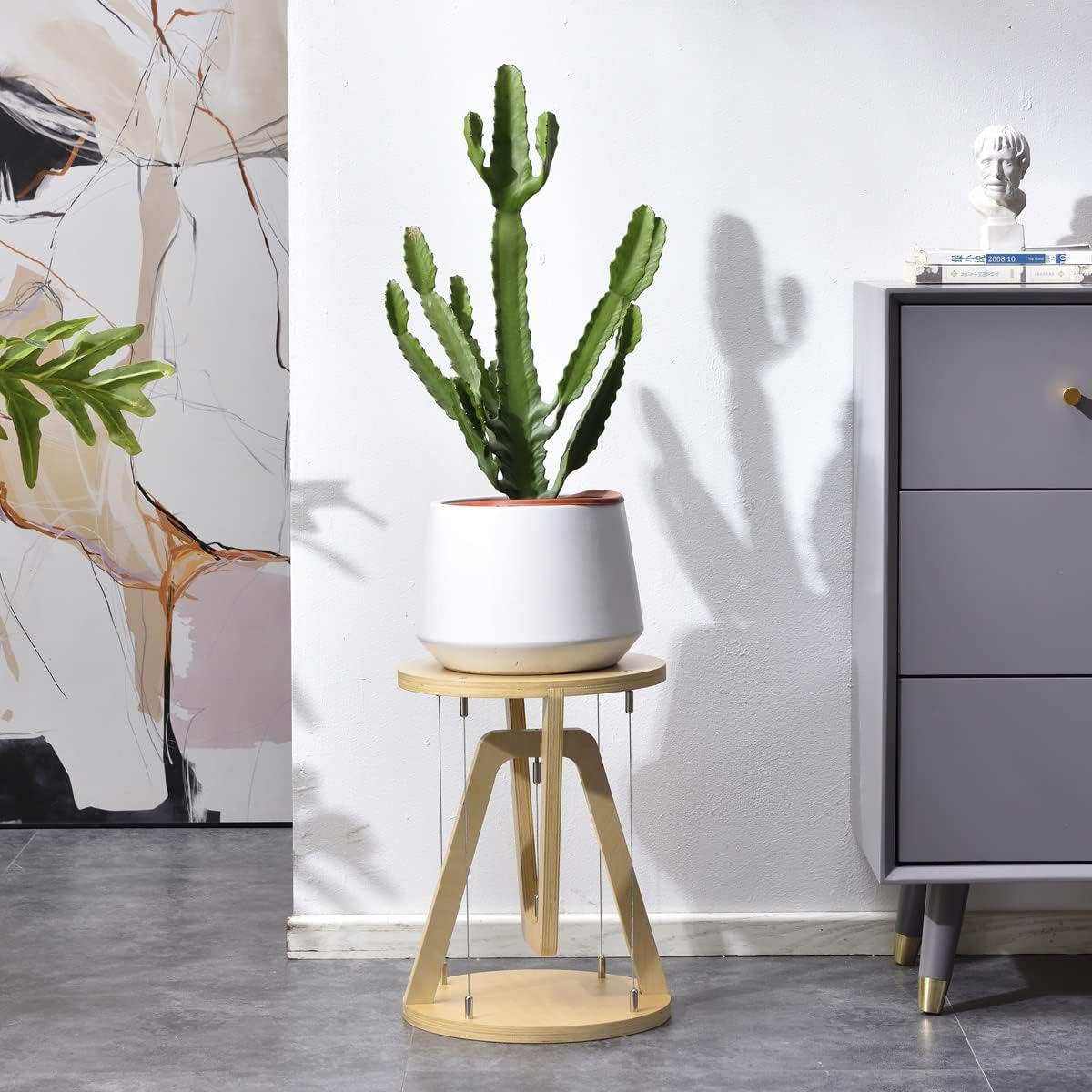 Amazon.com: Tensegrity Structure Plant Stand, Anti Gravity Physics Gift ...