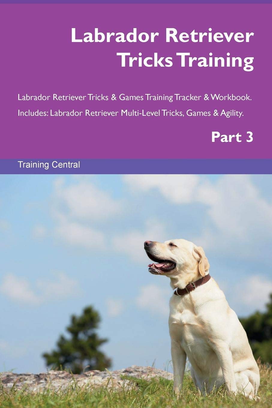 How To Teach A Labrador Tricks