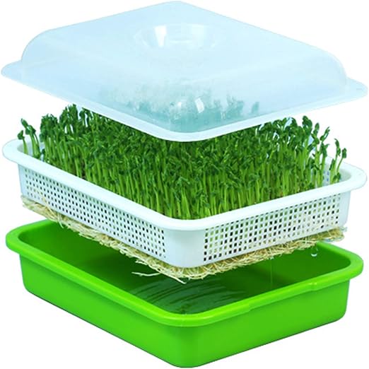 Amazon.com : Anjoy Seed Sprouter Tray with Lid BPA Free Bean Sprout ...