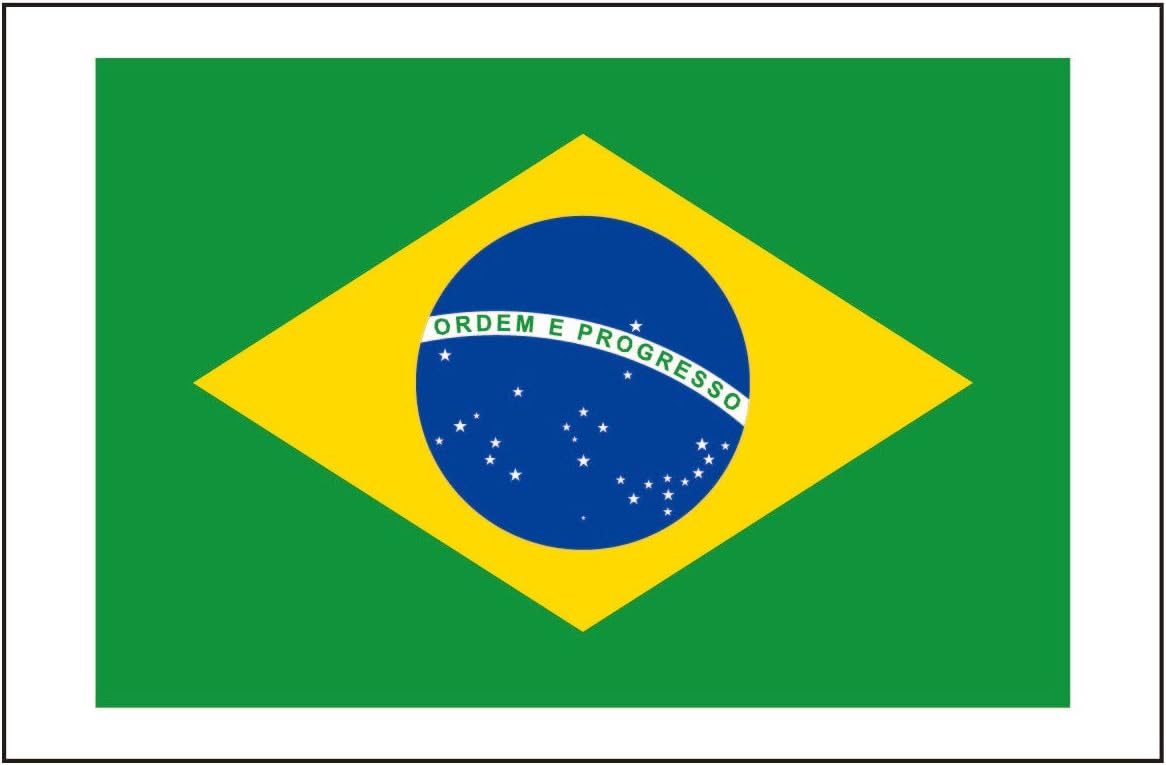 Amazon.com: 8 Large Brazil Flag Tattoos: Brasil, Brazilian World Cup ...