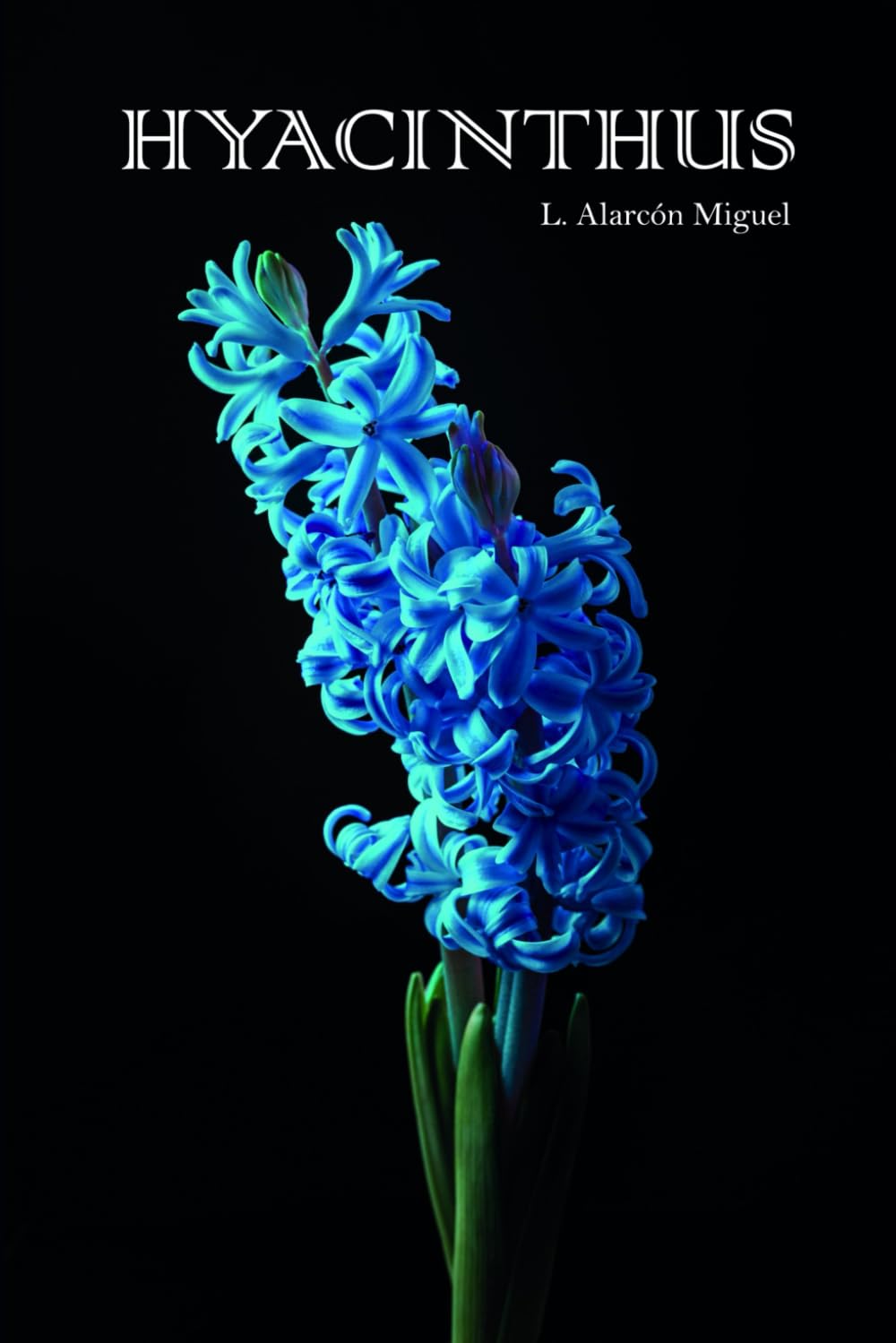 Hyacinthus: Amazon.co.uk: Alarcón Miguel, L., Alarcón Miguel, Monika ...