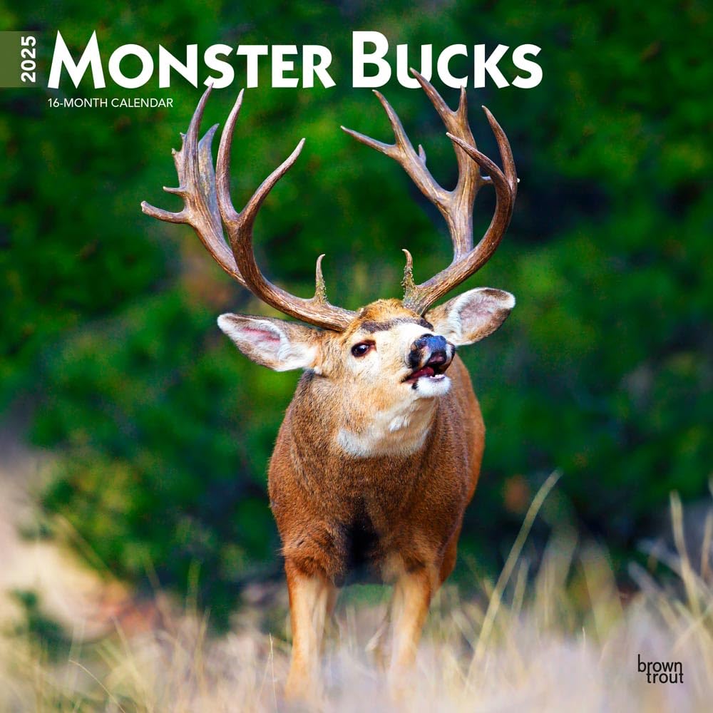 Monster Bucks | 2025 12 x 24 Inch Monthly Square Wall Calendar ...