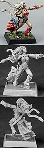 Seoni Iconic Female Sorceress Pathfinder Series Miniatures : Amazon.co ...
