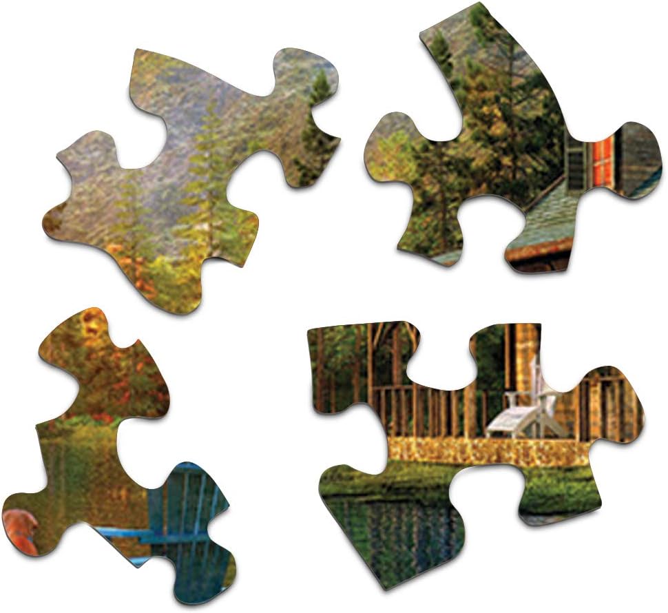 Springbok Puzzles 33-10892 1000 Piece Jigsaw Puzzle, Multi-Colour ...