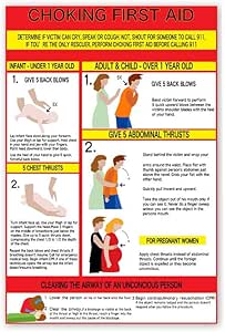 Amazon.com : Safety Choking Victim Poster 12" x 18" Laminated, Choking ...