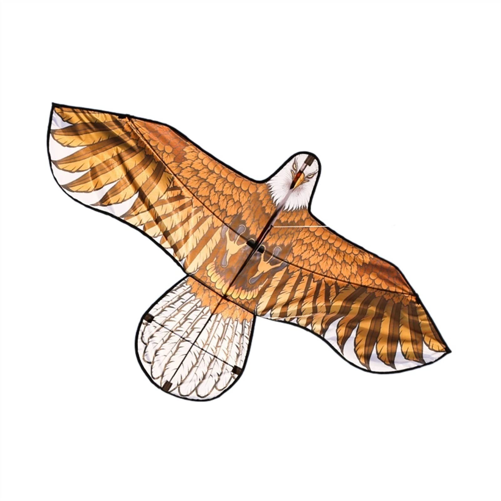 How To Draw A Hawk Flying For Kids