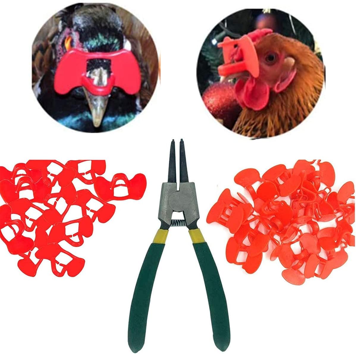 Amazon.com : Weilan Pinless Peepers with Pliers Chickens Blinders ...