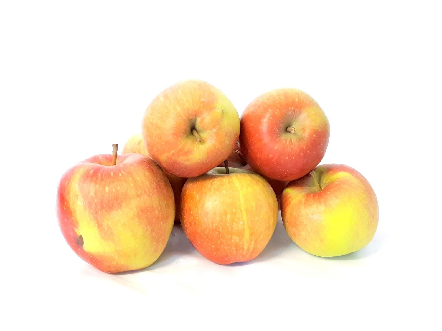 Äpfel Braeburn vom Bodensee süß-säuerlicher Apfel 1-10 KG Tafelapfel ...