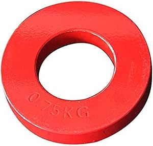 Micro Olympic Fractional Weight Plate Sets 0.25 Kg,0.5kg,0.75kg,1kg for ...