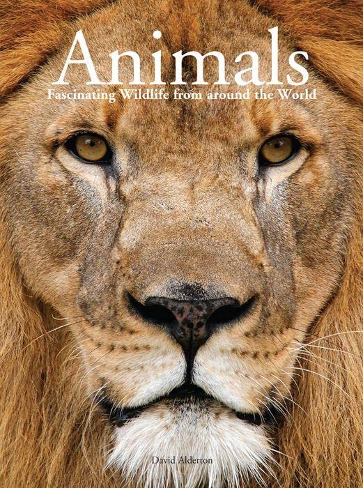Animals: Fascinating Wildlife From Around the World: David Alderton ...