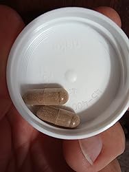 Amazon.com: Cistanche Tubulosa Extract 500mg Per Serving (120 Capsules ...