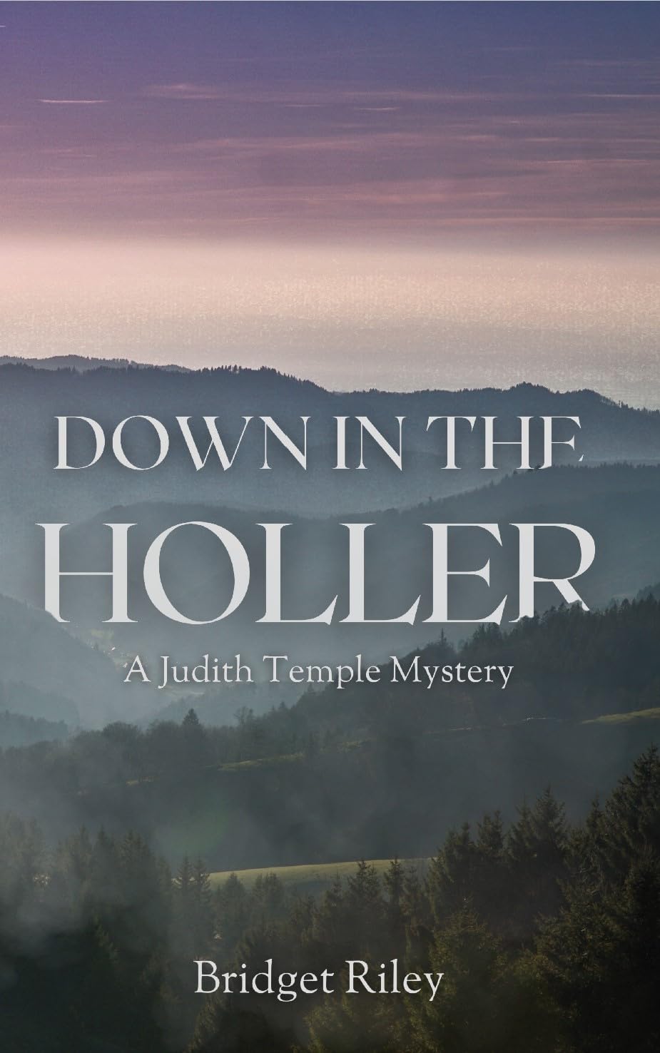 Amazon.com: Down in the Holler: A Judith Temple Mystery (Case Files of ...