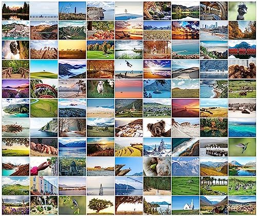 Bear and Bee 100 Landscape Postcards with 100 Different Motifs ...