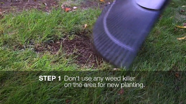 Watch How to Plant Ultra Lawn Patch on Amazon Live