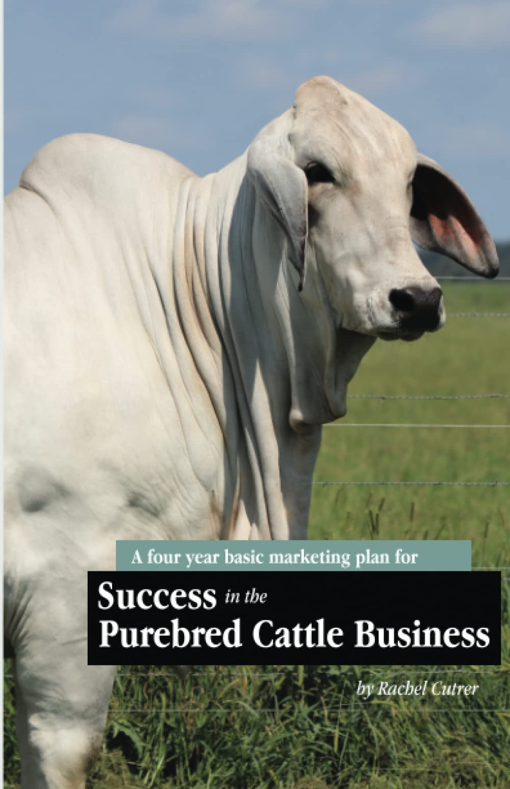 A Four Year Basic Marketing Plan for Success in the Purebred Cattle ...