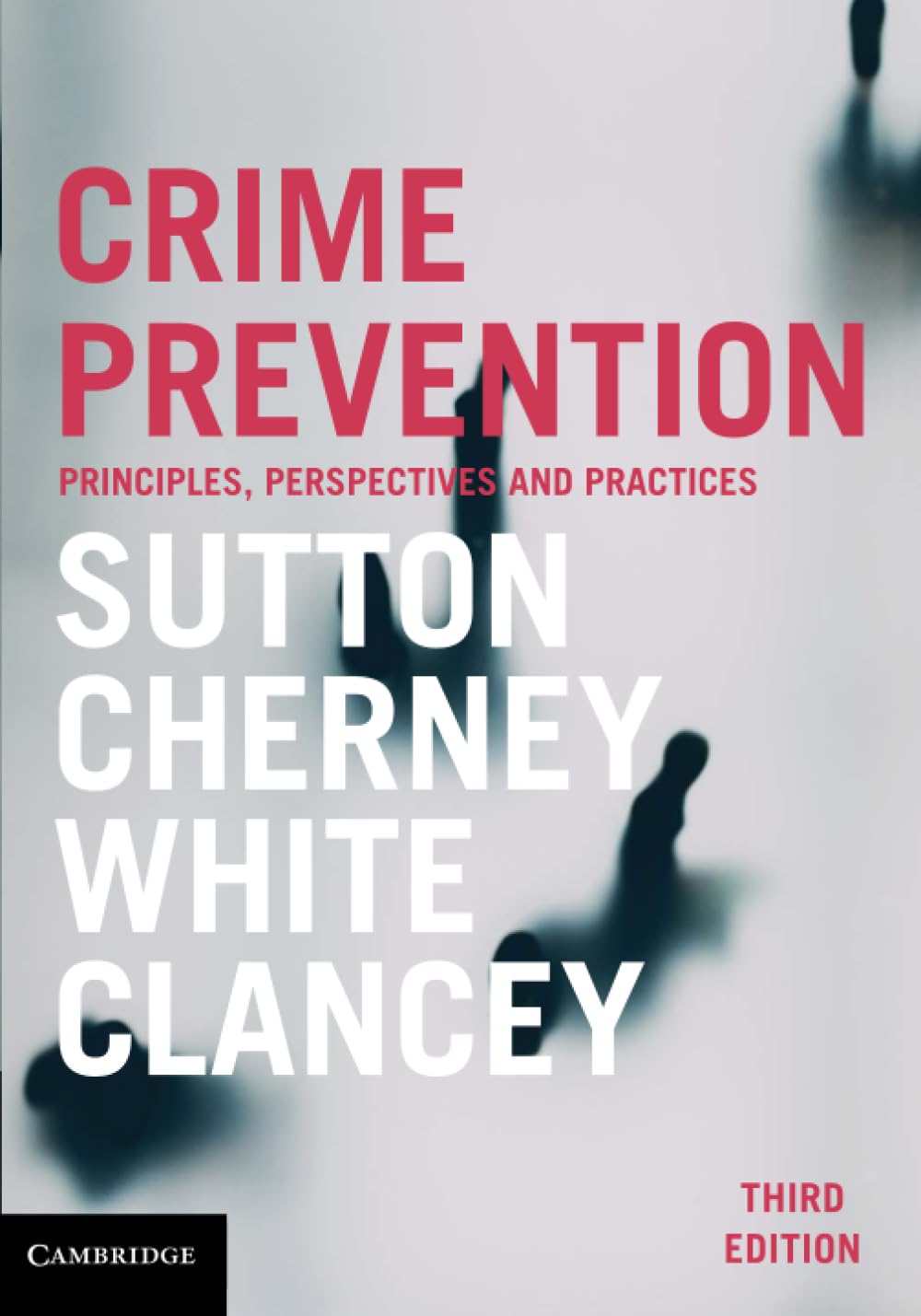 Cambridge Crime Prevention Principles, Perspectives and Practices Book ...
