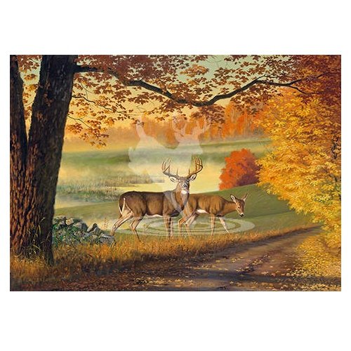 Reflective Art Unframed Where Sleeping Deer Lie 24x36 Museum Wrapped ...