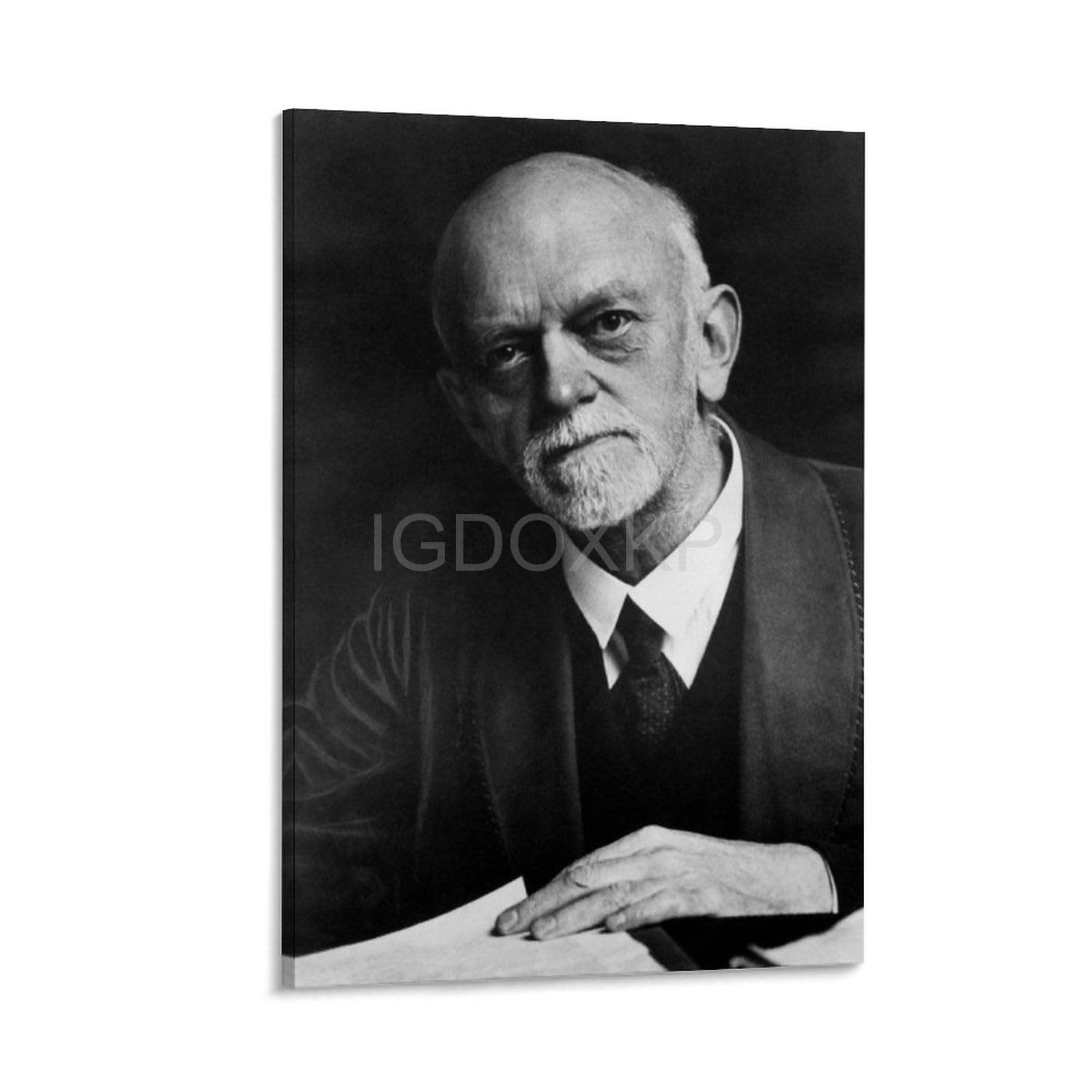 David Hilbert Poster SIAM On X: "Mathematics Knows No Races Or