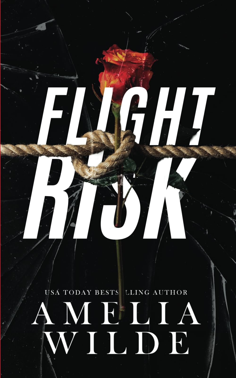 Flight Risk: Wilde, Amelia: 9798393141011: Amazon.com: Books