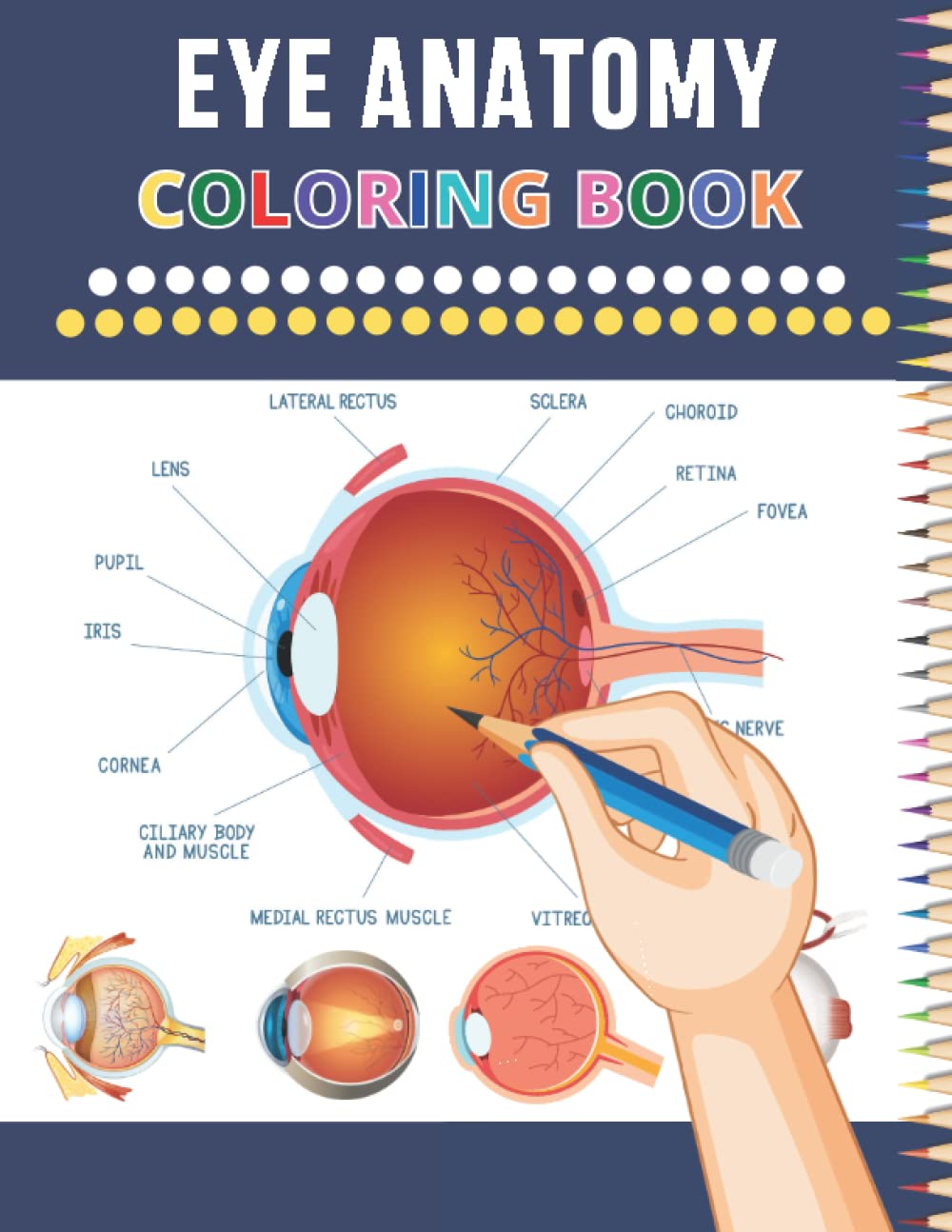 Buy Eye Anatomy Coloring Book: Human Eye Anatomy Student's Self-test ...
