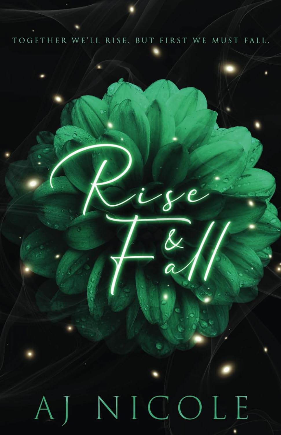 Amazon.com: Rise & Fall (Pain & Pleasure): 9798322035503: Nicole, AJ: Books