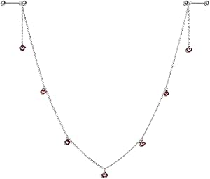 Amazon.com: Body Candy Womens 14G Nipplerings Piercing 316L Stainless ...