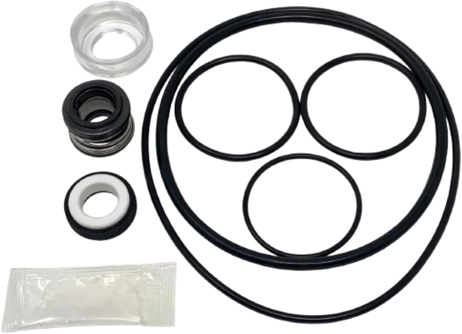 Amazon.com: Southeastern Pool Pump Seal Repair Kit for Hayward(R ...