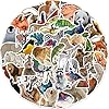 Amazon.com: Cute Animal Stickers for Kids Teens, Zoo Animals Stickers ...