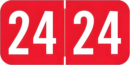 Amazon.com : 2024 Year Stickers, Doctor Stuff 2024 Chart Stickers, Red ...