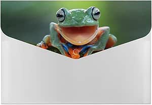 Amazon.com: Pylon Blue Laughing Tree Frog Expanding File Folder with 6 ...
