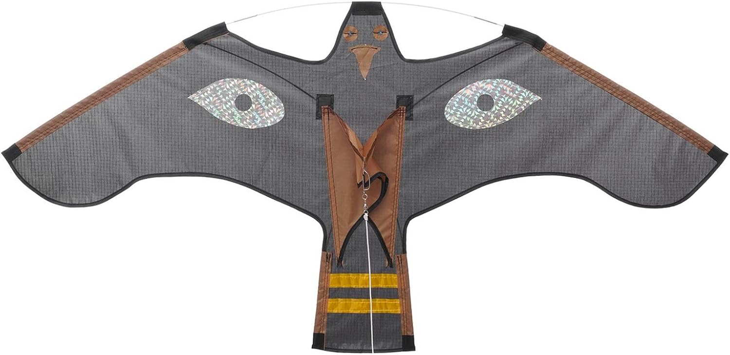 För att visa den här videonedladdningen Flash Player