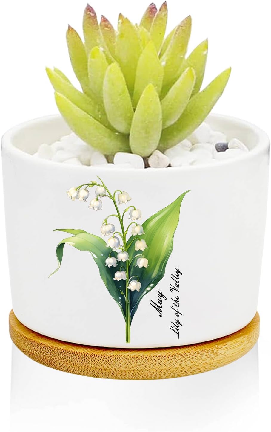 Amazon.com: LMZLJZ May Birthday Gifts for Women,Personalized Succulent ...