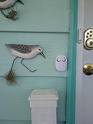 Wireless Doorbell, Cute Owl Doorbell Weatherproof IP55 Outdoor Remote ...