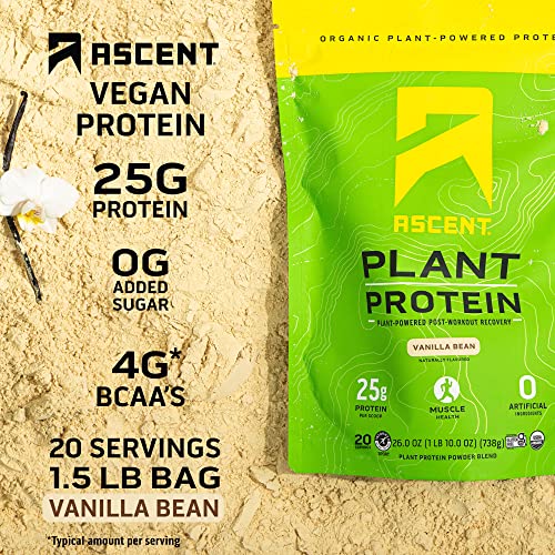 The 18 Best Ascent Protein Powder of 2024 [Verified] - Cherry Picks