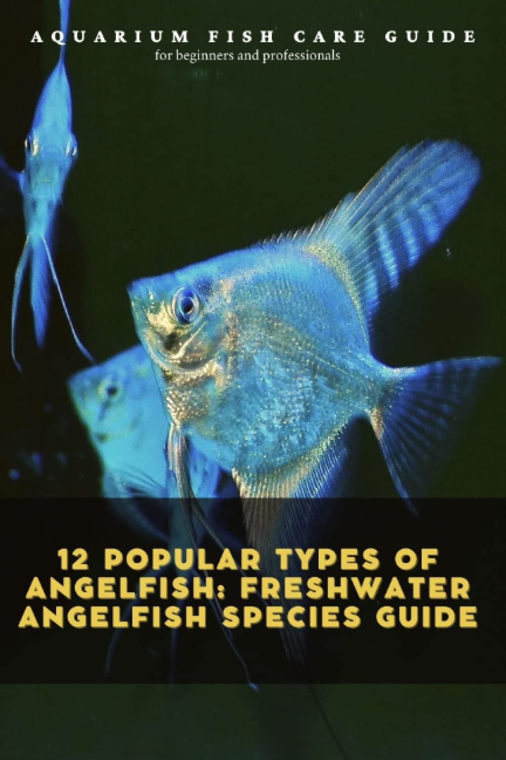 Buy 12 Popular Types of Angelfish: Freshwater Angelfish Species Guide ...