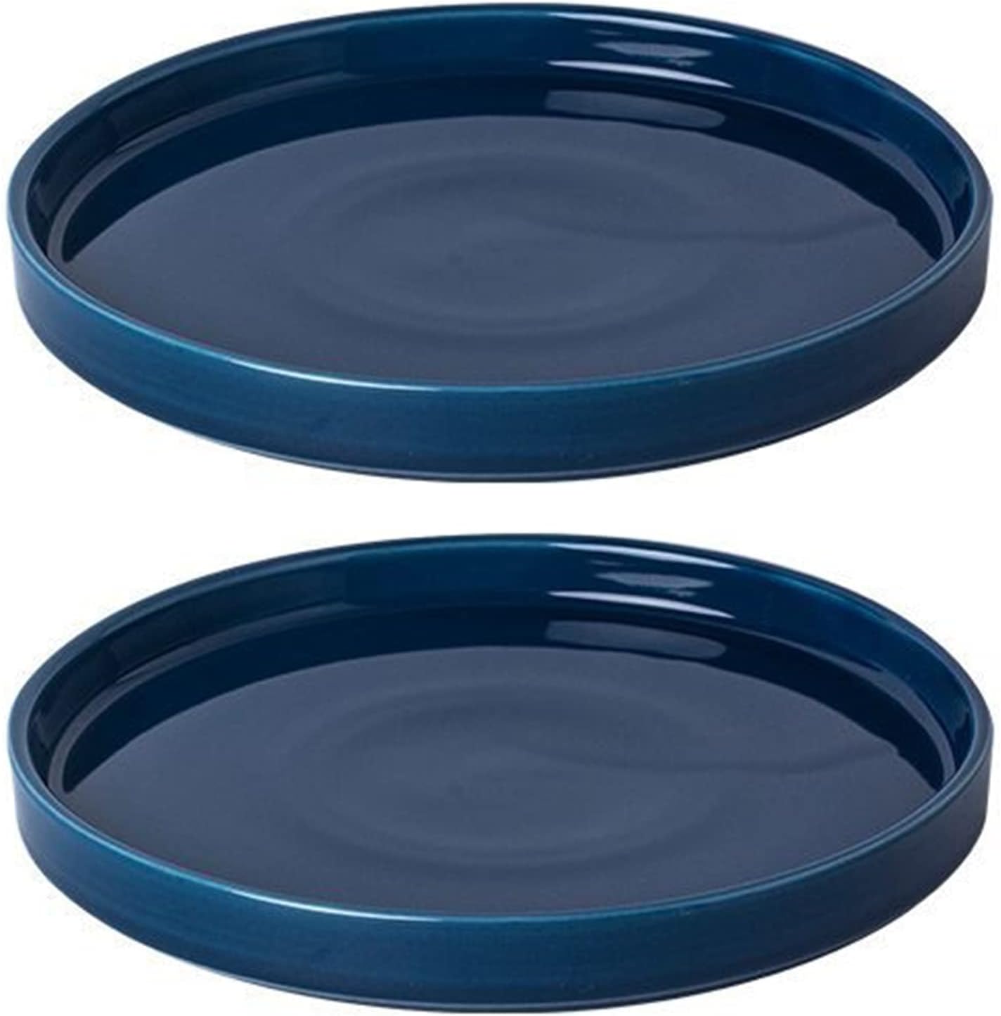 Amazon.com: Relime Plant Saucer - Instant Dry Diatomaceous Earth Stone ...