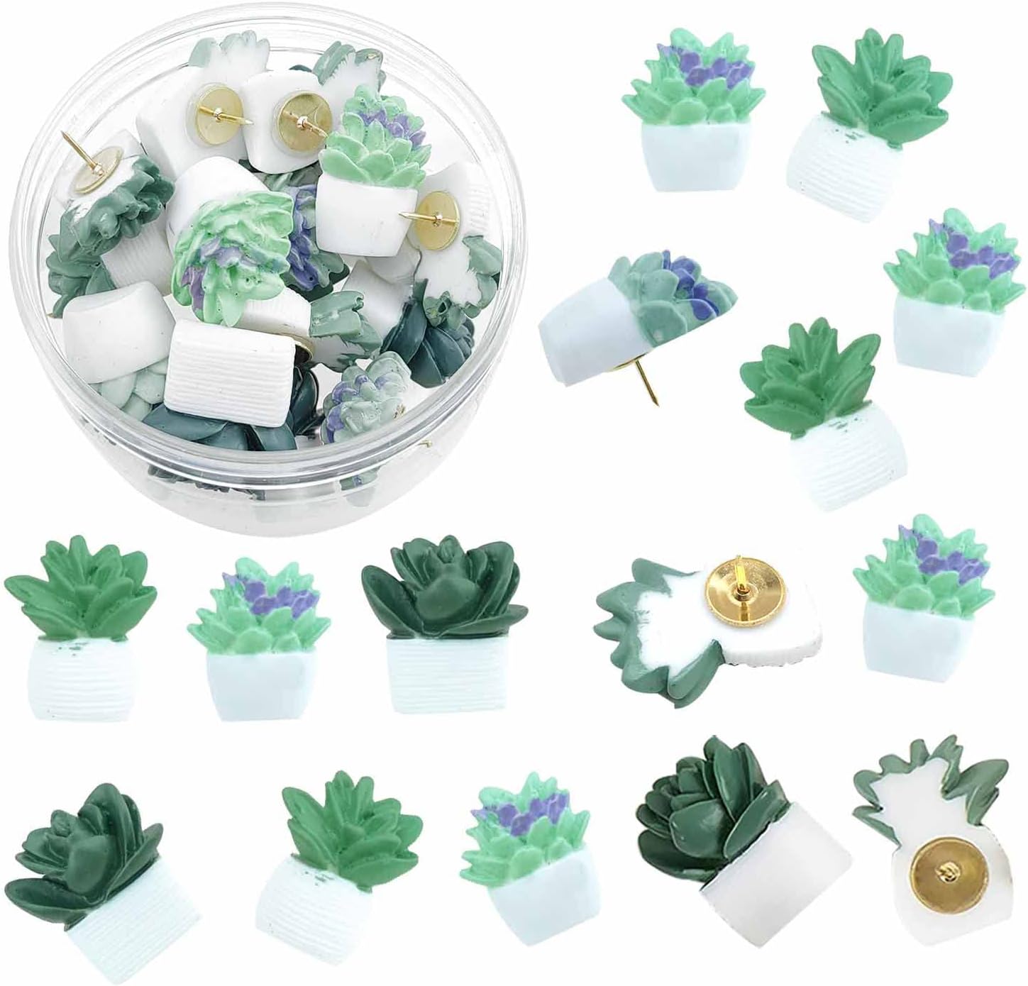 Amazon.com: Kukiwhy 20 PCS Green Modern Succulent Push Pins Set ...