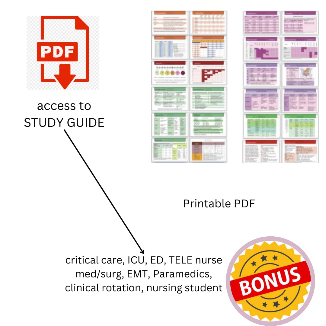 Snapklik.com : MOMOZEE - Paramedics/EMS/EMT Badge Reference Card Set ...