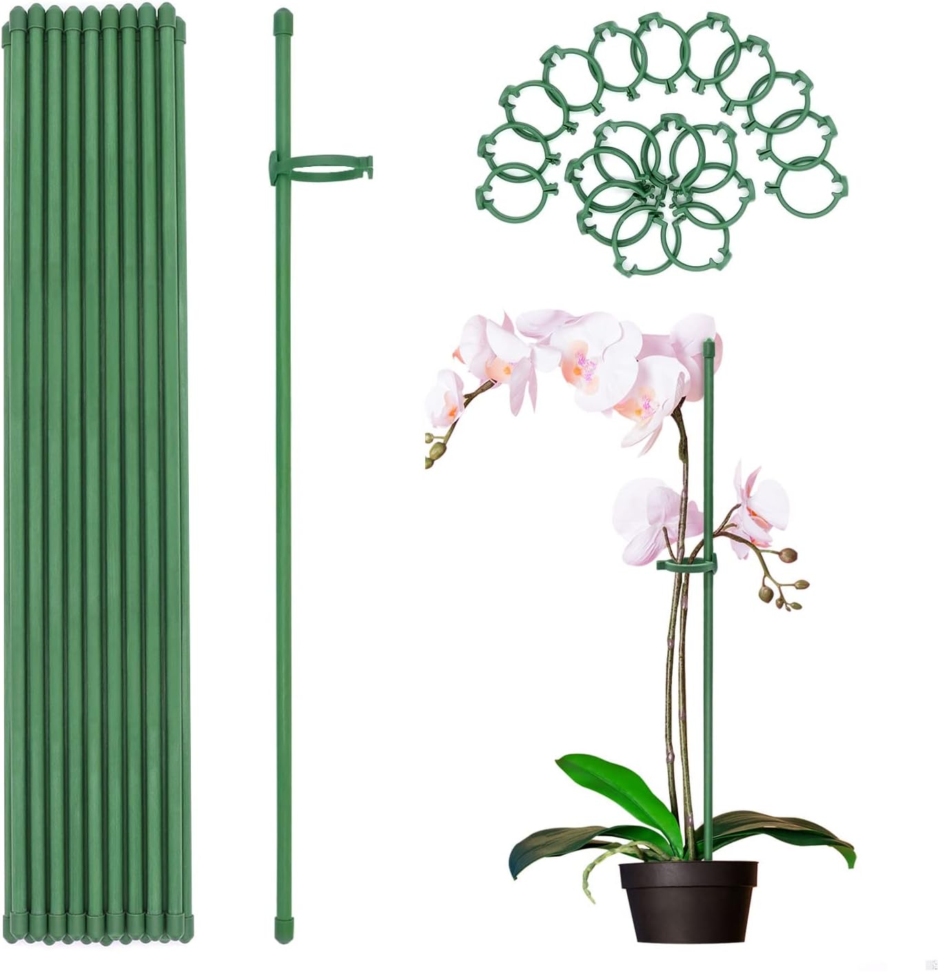 Amazon.com : 30 Pcs Adjustable Plant Support Stakes Garden Single Stem ...