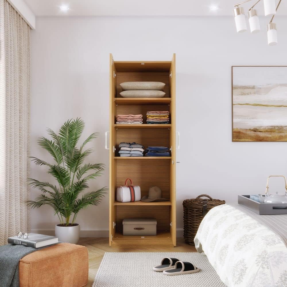 CASPIAN Wardrobe | 1 Year Warranty | Wardrobe for Clothes, Almirah for ...