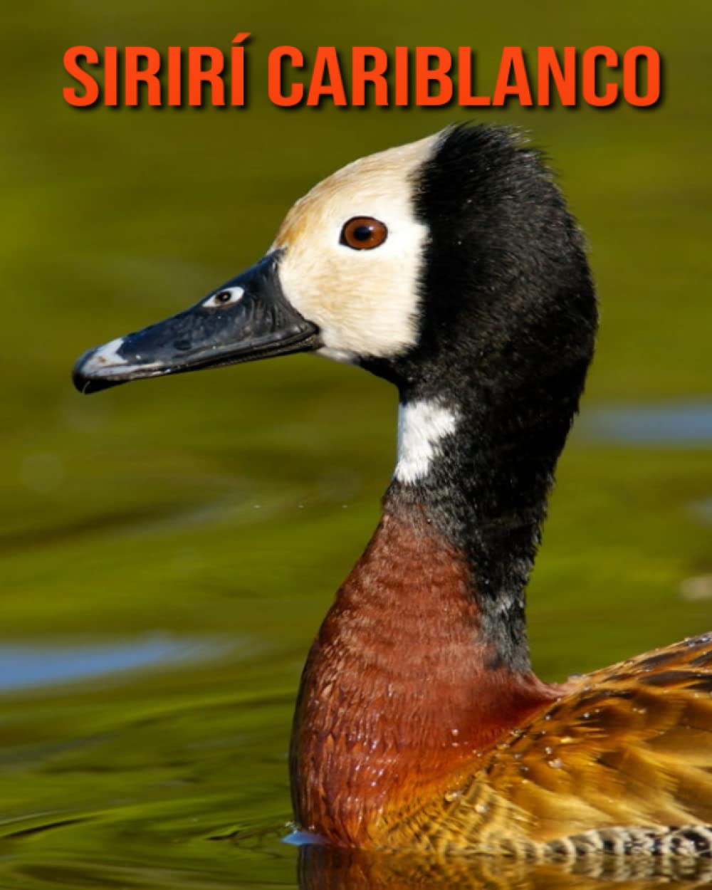 Siriri Cariblanco Libro Para Ninos Con Imagenes Asombrosas Y Datos ...