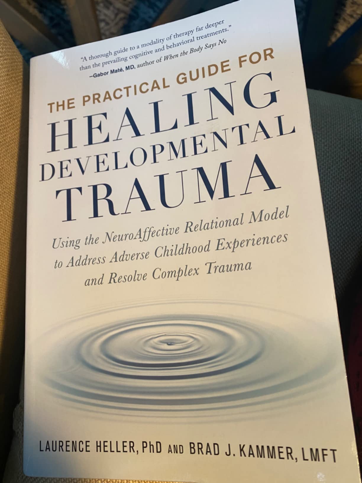 The Practical Guide for Healing Developmental Trauma: Using the ...