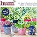 Hum Flowerpots, 25cm, Various Patterns Colours and Sizes, Indoor ...