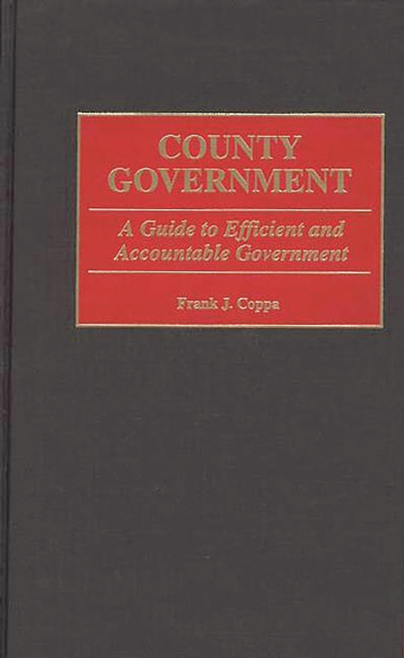 County Government: A Guide to Efficient and Accountable Government ...