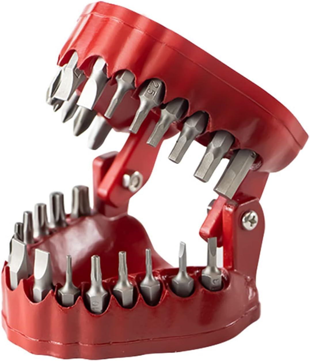 Denture Drill Bit Holder, Bit Organizer Denture Model Holds Up To 28 ...