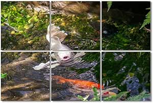 Amazon.com: 6 Pack Art Acoustic Panels Gasping Carp Soundproof Wall ...