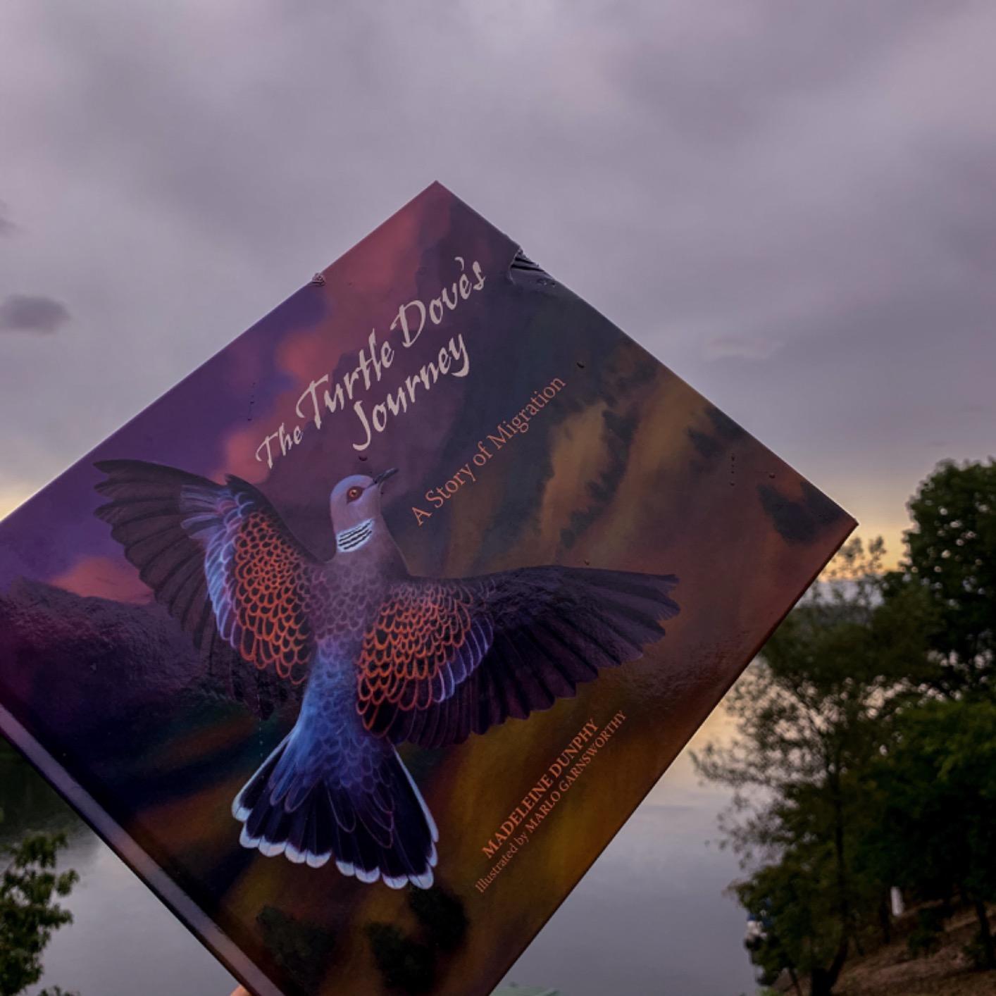 The Peregrine's Journey: A Story of Migration (A Story of Migration, 1 ...