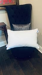 Amazon.com: felo Feather Down Pillows Queen Size Set of 2, CloudFusion ...